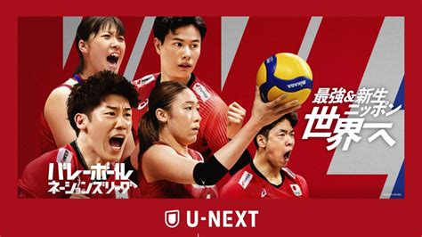 予選ラウンド1週目に日本とも戦うセルビア男子代表がネーションズリーグに向けたメンバーを発表！ バレーボールキング