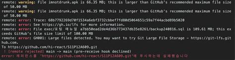 Gitlab Github Migration 과정에서 오류 해결 1 대용량 파일 오류large Files Detected