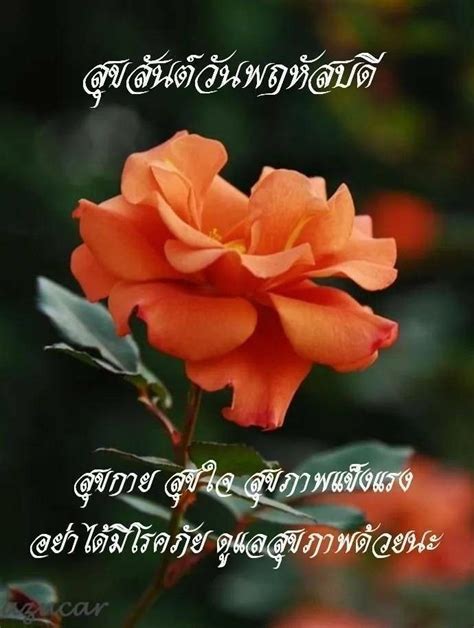 An Orange Rose With The Words In Thai Writing On It And Some Green
