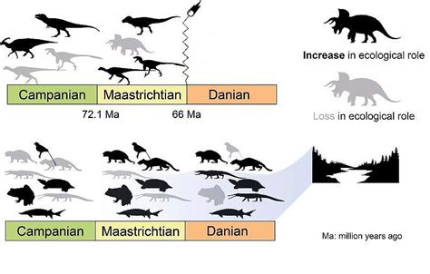 Study Dinosaurs Were Struck Down In Their Prime By Asteroid The