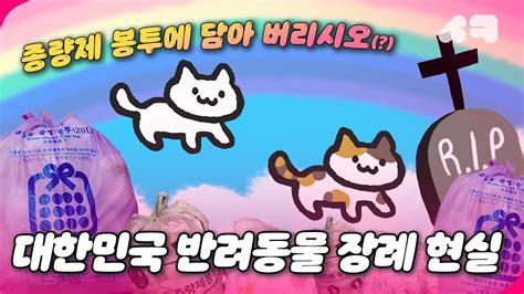원정장례∙불법매장 반려동물 장례 현실 해결책은 이동식 Youtube