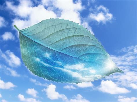 Pin By Ria On Frutiger Aero Cyber Aesthetic Artist Outdoor