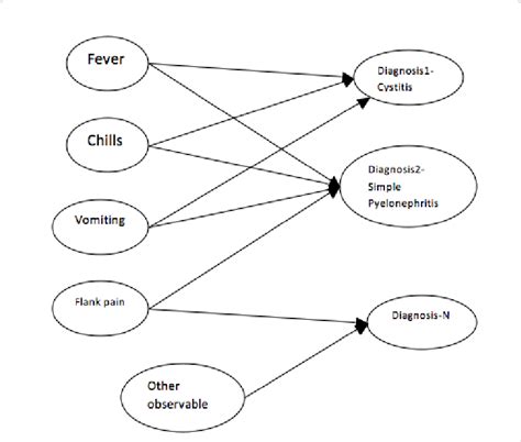 Representation Of An Fcm Model Download Scientific Diagram