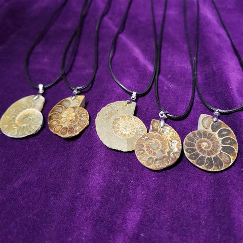 Ammonite Fossil Pendants Into The Mystic Shop