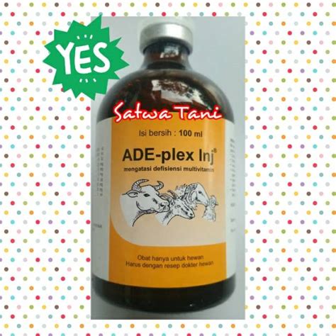 Jual Ade Plex Injection Vitamin Ade Dan B Complex Komplet Indonesia Shopee Indonesia