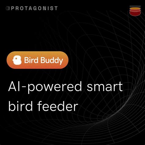 Protagonist On Linkedin 👋 Meet Bird Buddy 📍 Hq Ljubljana Slovenia 👥