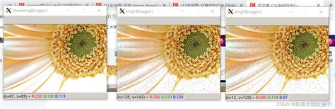 Pytorch进阶学习（三）：在数据集数量不够时如何进行数据增强pytorch数据增强 Csdn博客