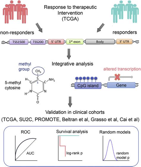 Schematic Representation Of The Systematic Integrative Approach Top Download Scientific