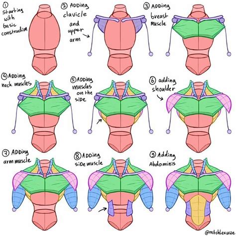 Pin En Рисование Drawing Referencia De Anatomía Tutorial De Anatomía