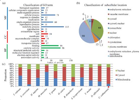 Bioinformatic Analysis Of Lysine Succinylation Sites And Succinylated