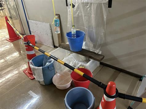 決算審査 坂井えつこ公式サイト 飯能グリーンプロジェクト