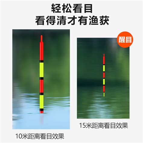 正品大物漂巨物远投浮漂大吃铅纳米加粗超醒目深水矶钓青鱼鲢鳙漂虎窝淘