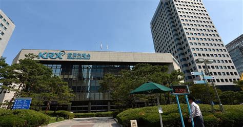 상반기 Ipo 기업 평균 수익률 25대 ‘이 종목은 500