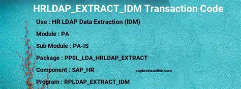 hrldap extract idm sap tcode for hr ldap data extraction idm