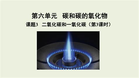 人教版化学九上第六单元课题3 二氧化碳和一氧化碳（第3课时）课件 共28张ppt 21世纪教育网 二一教育