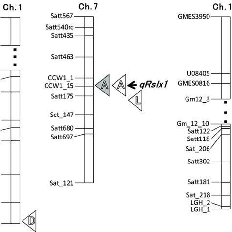 Distribution Of A Pubescence Length And B Pubescence Density In The Download Scientific