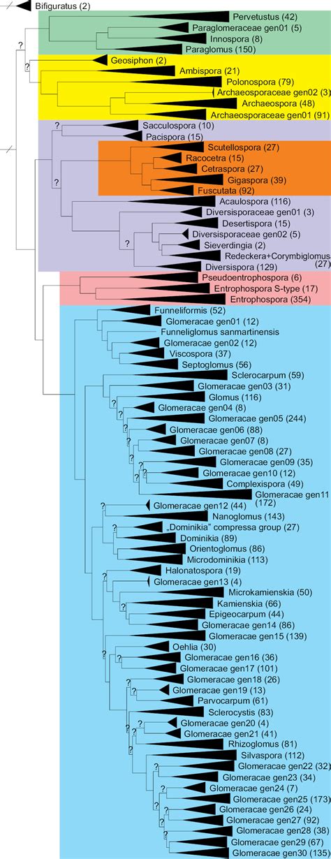 Species Classification Tree Benchmarking Tree Species Classification