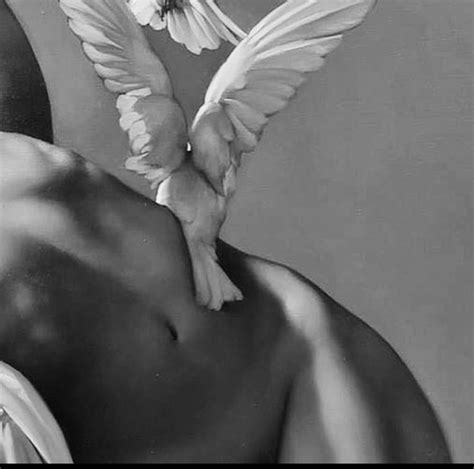 The Immaculate Archive On Tumblr