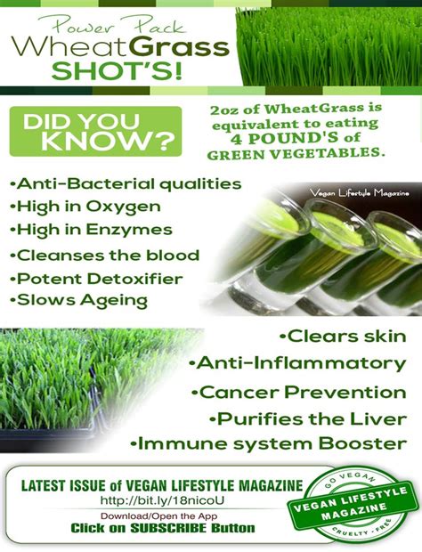 12 Best Wheatgrass Benefits And Recipes Images On Pinterest Health