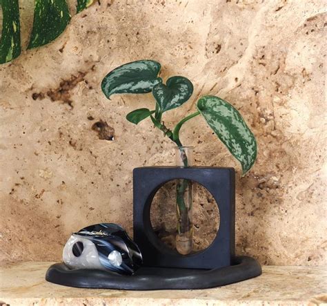 Ваза мінімалізм — ціна 180 грн у каталозі Вази Купити товари для дому та побуту за доступною