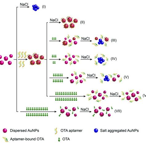 Schematic Illustration Of The Double Calibration Curve Colorimetric Download Scientific