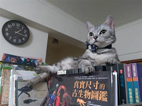 古生物 X 與古生物圖鑑