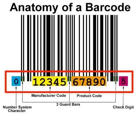 Amazon Barcodes Explained FBA Product Codes FNSKU UPC GS