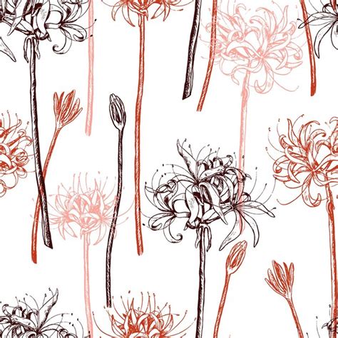Spider Lily Pattern Images Free Download On Freepik