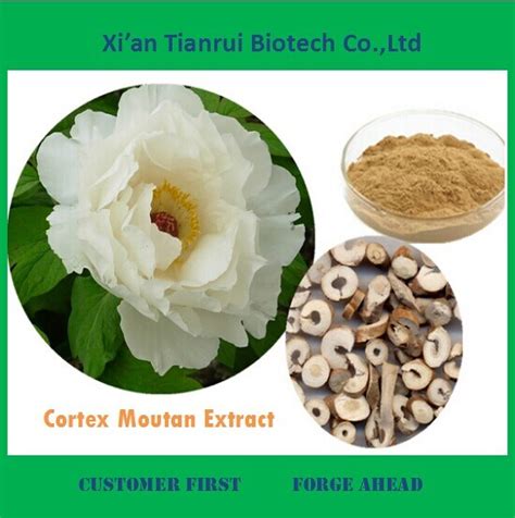 100 Natural Plant Cortex Moutan Extract Paeonol Cortex Moutan And Moutan Extract
