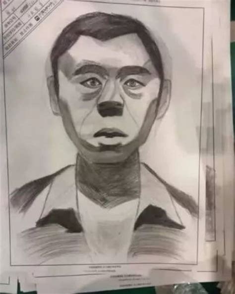 素描80分标准标准眉素描素描静物大山谷图库