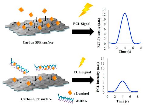 Electrochemiluminescence Biosensors Using Screen Printed Electrodes