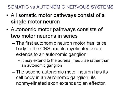 INTRODUCTION The Autonomic Nervous System ANS Operates Via