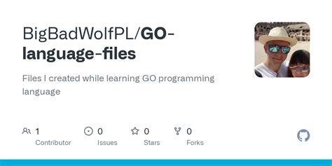 GitHub BigBadWolfPL GO Language Files Files I Created While Learning GO Programming Language