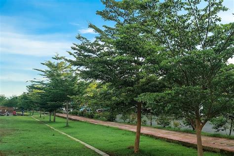 Premium Photo Jogging Path In A Park In Gowa Indonesia