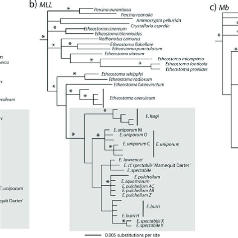 Phylogenies Resulting From Partitioned Bayesian Analyses Of The Nuclear