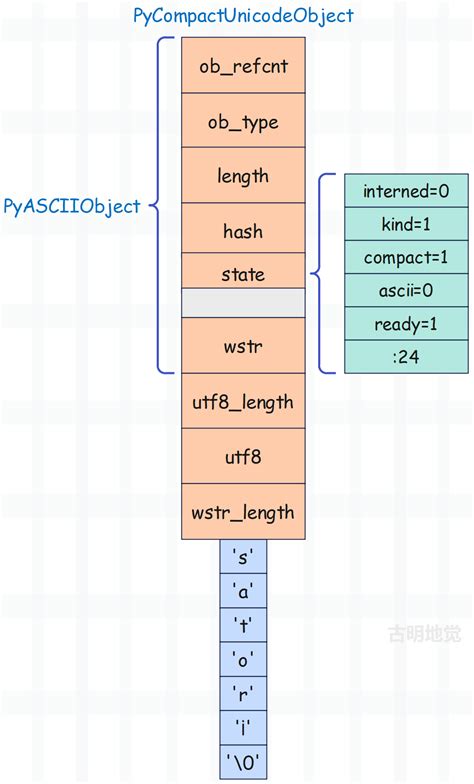 30 解密字符串的底层结构，它是怎么实现的？ Cpython38 源码探秘