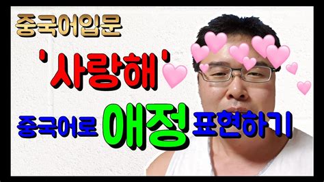 [중국어배우기] 중국어 회화 중국어기초 실전중국어 직장인중국어 사랑해 중국어로 애정 표현하기 중국어를 배울수 있다면