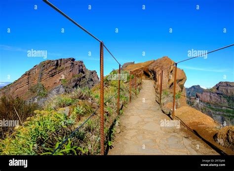 Path Between Pico De Areeiro And Pico Ruvio Madeira Portugal Stock