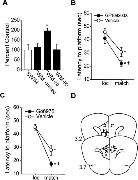 A Role For Prefrontal Calcium Sensitive Protein Phosphatase And Kinase