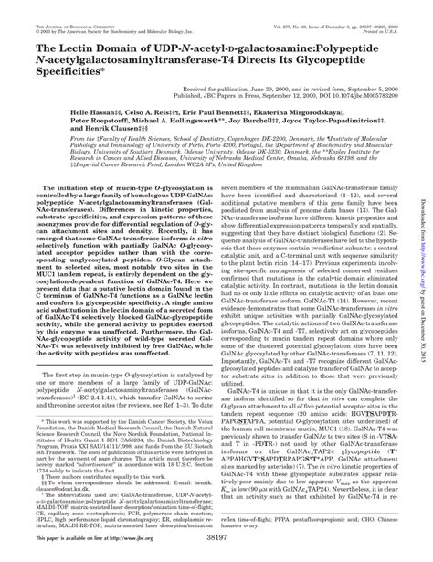 Pdf The Lectin Domain Of Udp N Acetyl D Galactosamine Polypeptide N