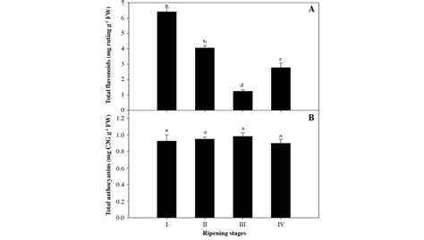 Total Flavonoid A And Anthocyanin Concentrations B In Prumnopitys