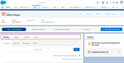 Activity Timeline In Salesforce