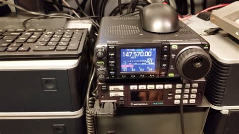 Qsl Everything You Need To Know