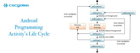 Android Programming Assignment Helpcscoding
