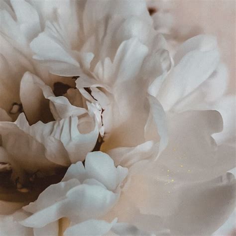 Revolutionary Yoni De Armouring Sofia Sundari