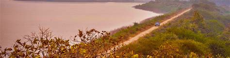 Heres Complete Information About Sasan Gir National Park