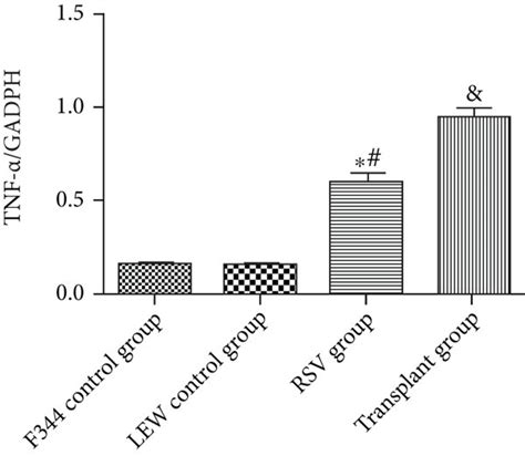 Protein Levels In Different Groups A Western Blot Of Tnf α And Il 6