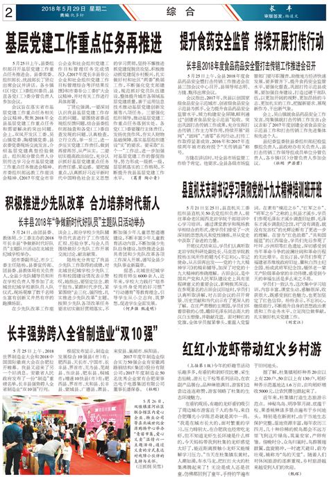 积极推进少先队改革 合力培养时代新人 长丰报