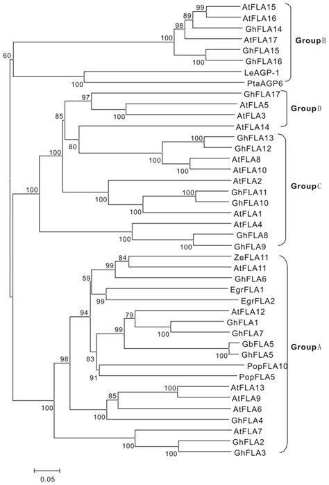 The Neighbor Jointing Tree Was Constructed With Mega 4 0 Subgroup Of A
