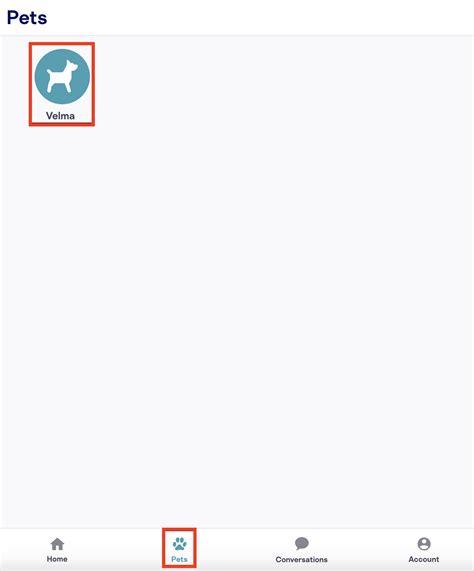 Otto App And Pet Portal Overview Otto